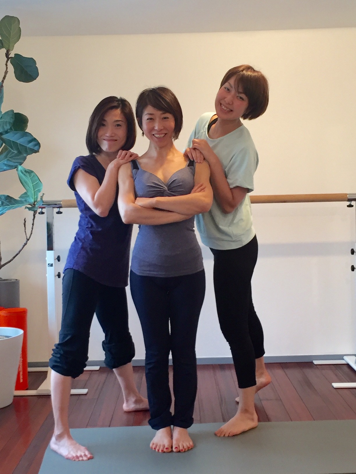 新しい風が吹く予感☆ | Studio Apro