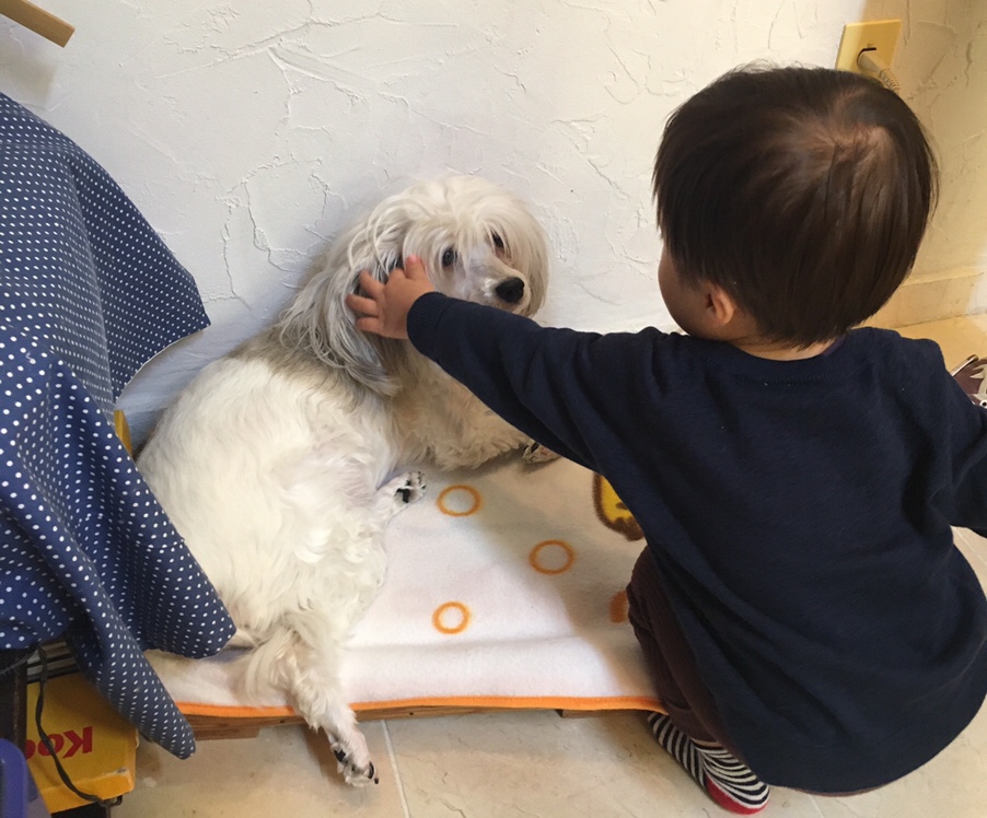 美容院へ | Studio Apro