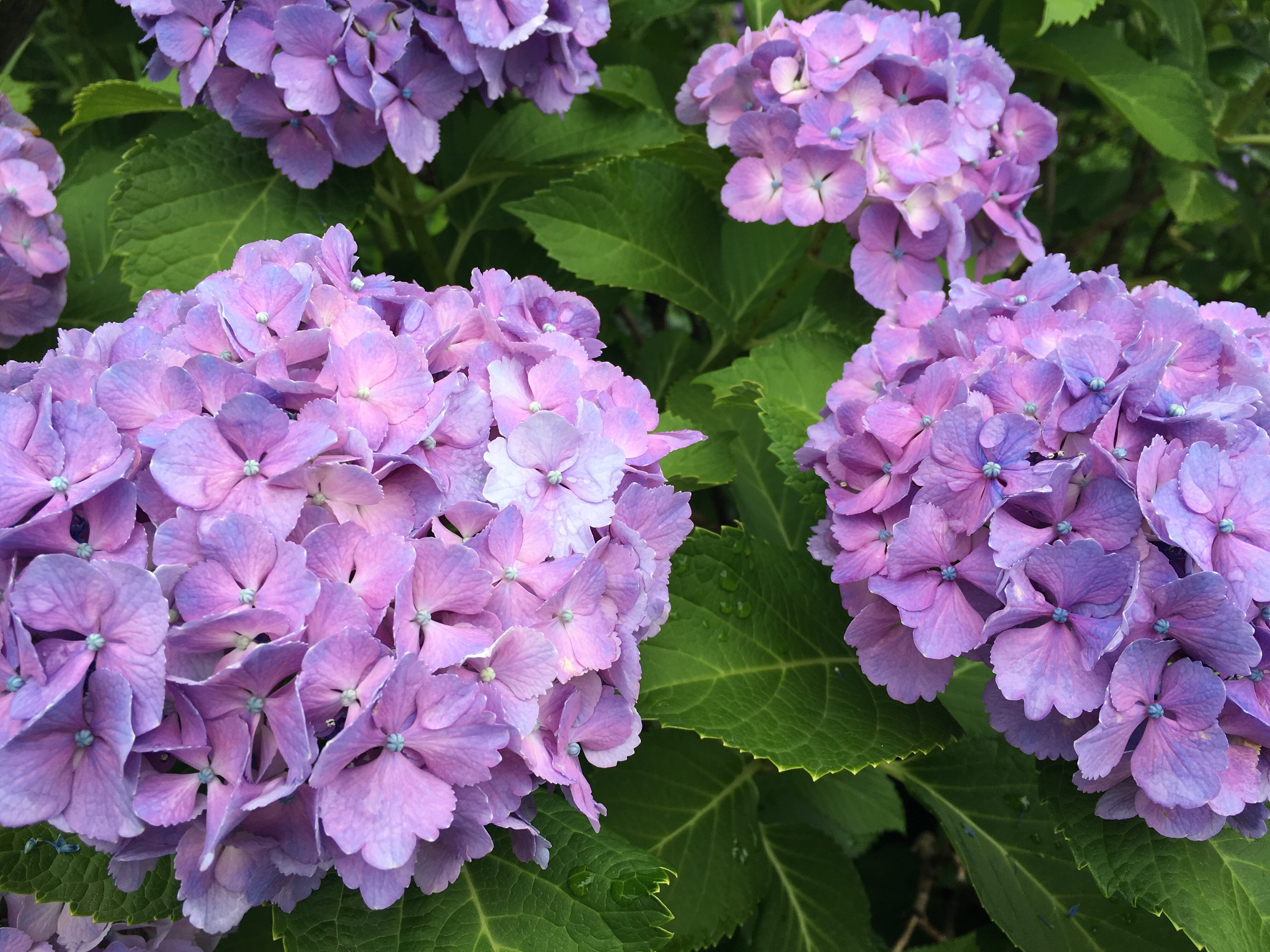 成長 | Studio Apro