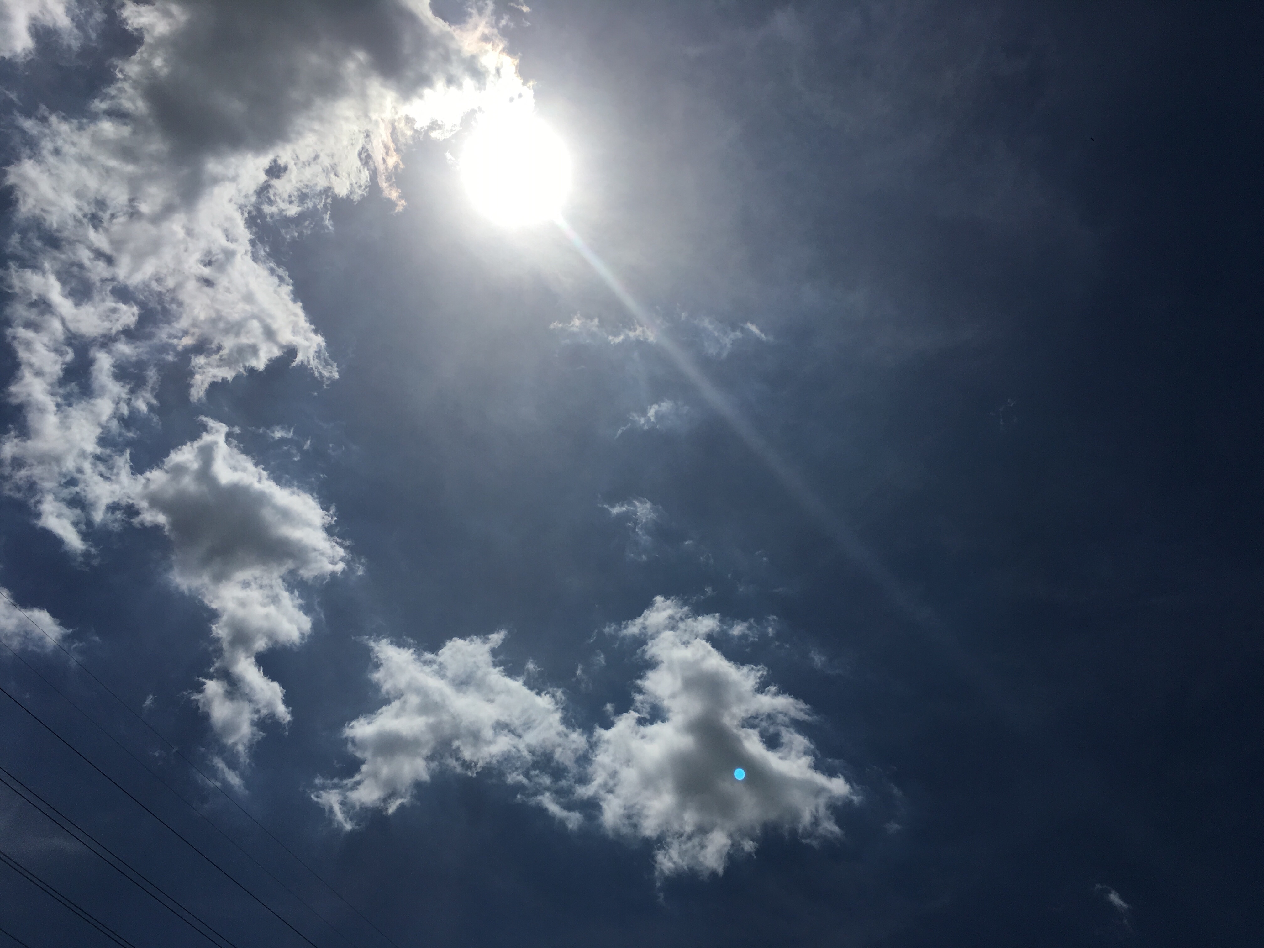 父と息子 | Studio Apro